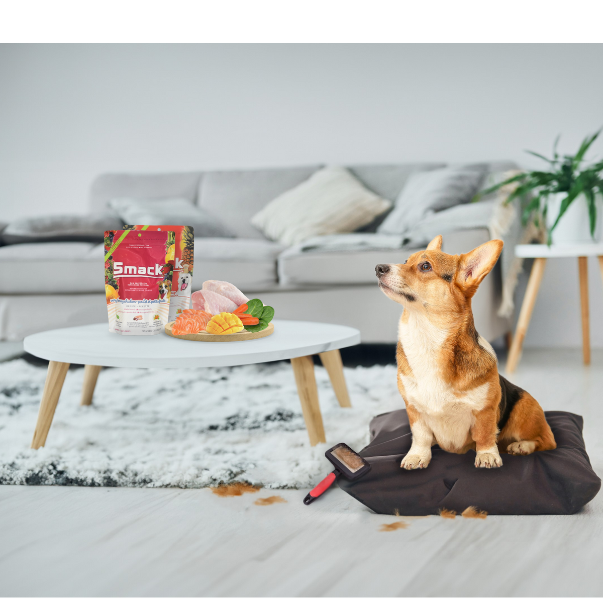 Novel Proteins ~ When allergies hit, it might be time for a change – Smack Pet Food Inc.