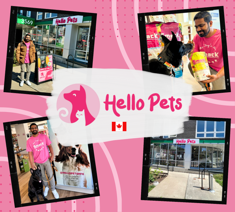 Retailer Spotlight - Hello Pets – Smack Pet Food Inc.