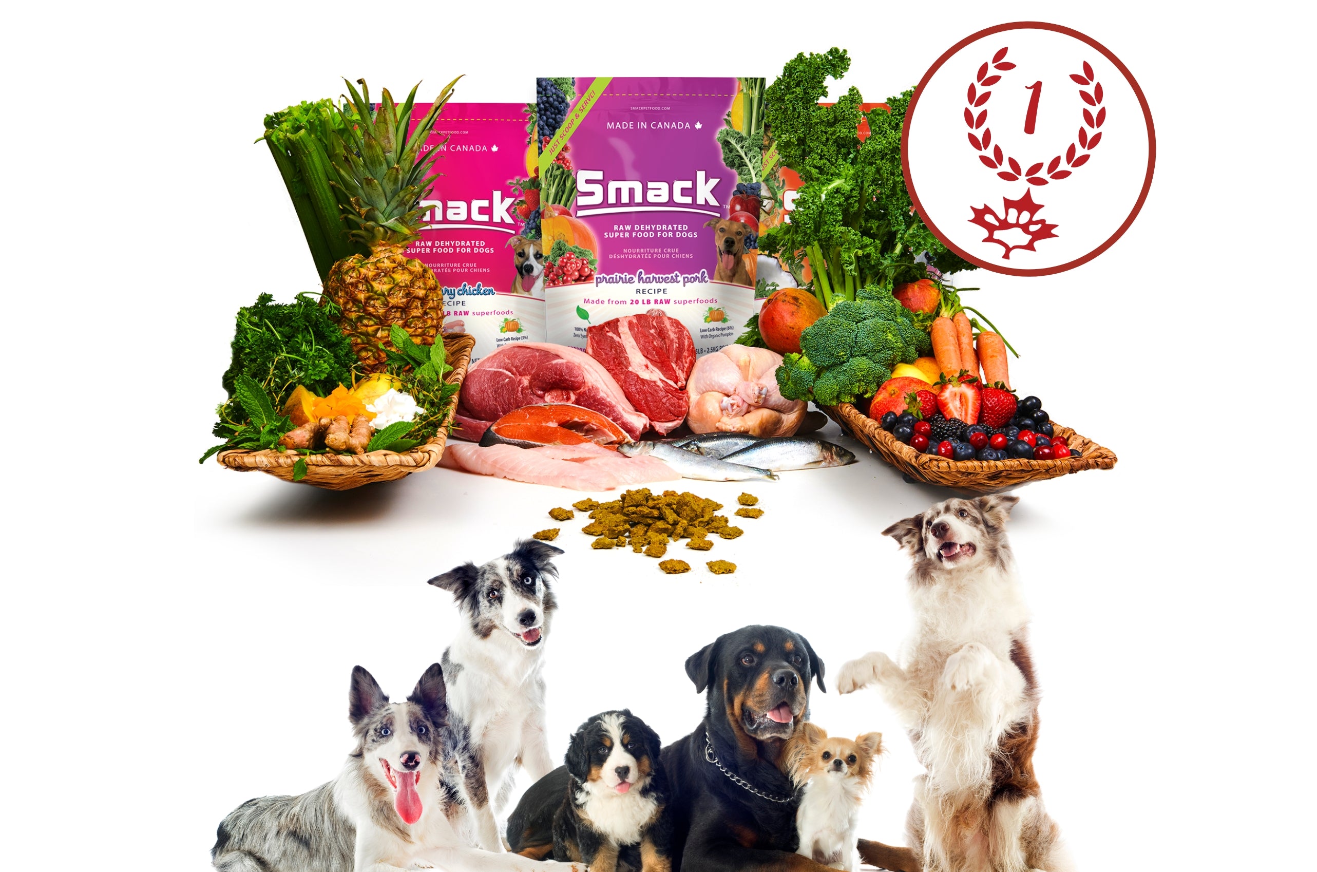 Media - News & Stories – Smack Pet Food Inc.