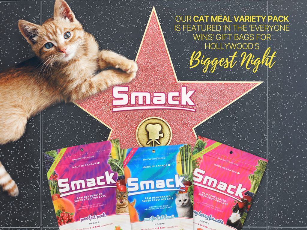 Press Release - Everyone Wins – Smack Pet Food Inc.